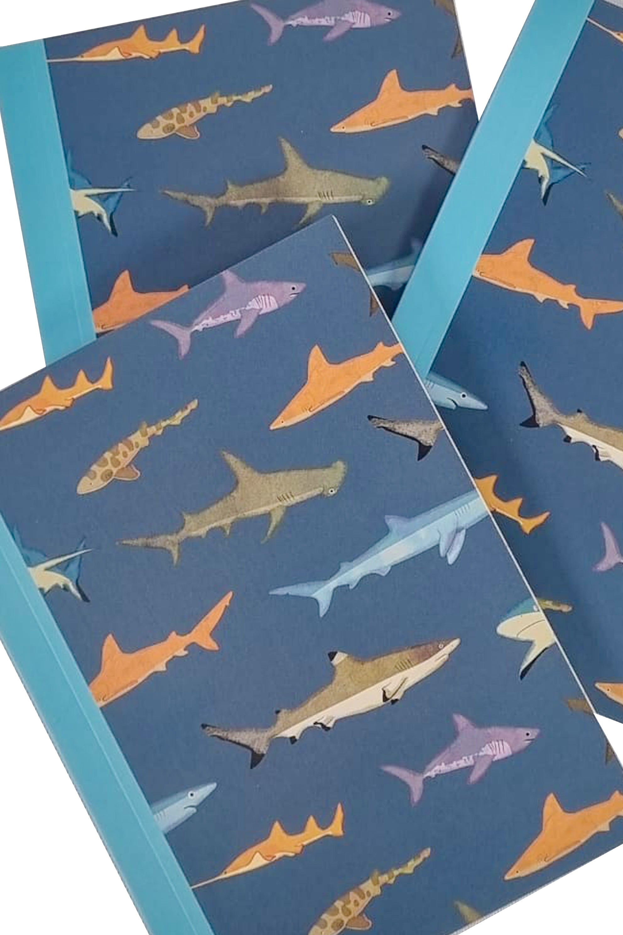 Shark Notebook | party bag fillers | The little things – The Little Things