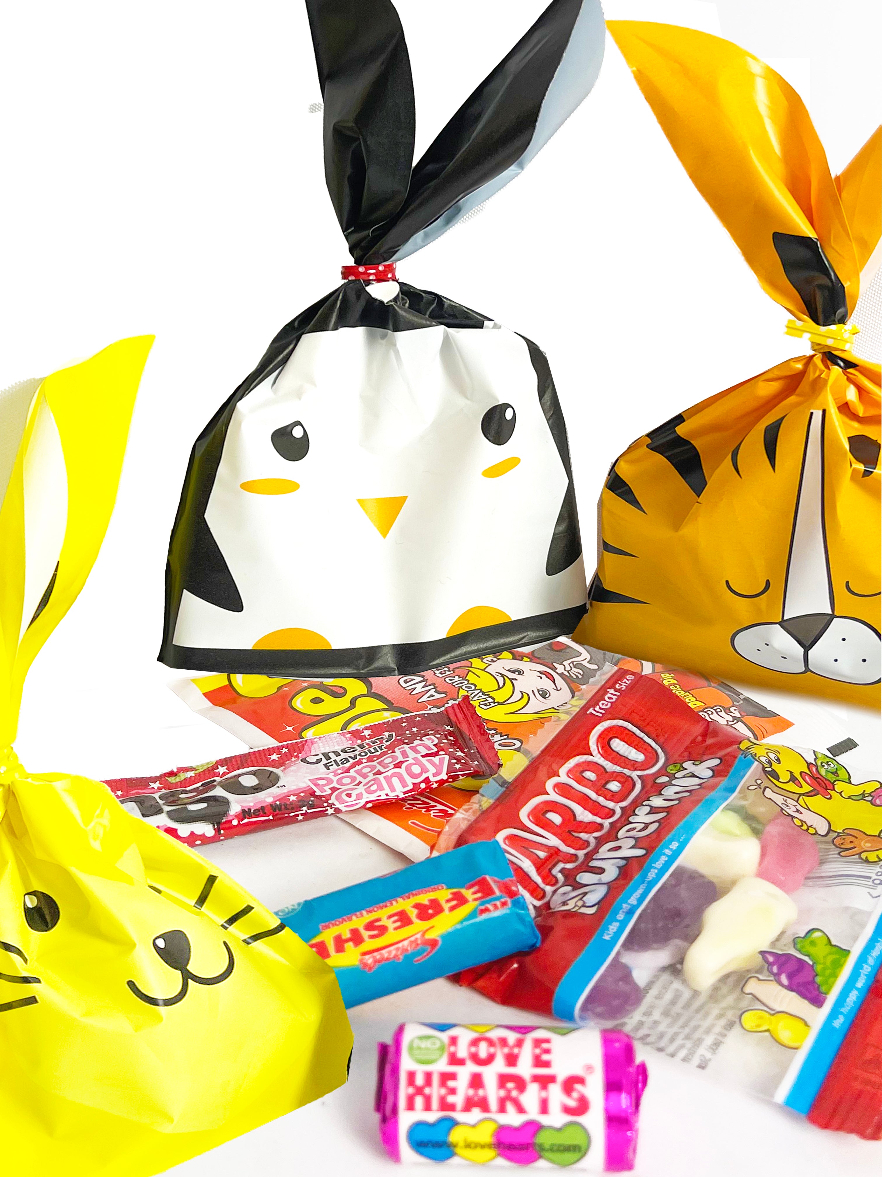 Pre filled Animal Tie Treat Bags | Party Bags for Kids UK – The Little ...